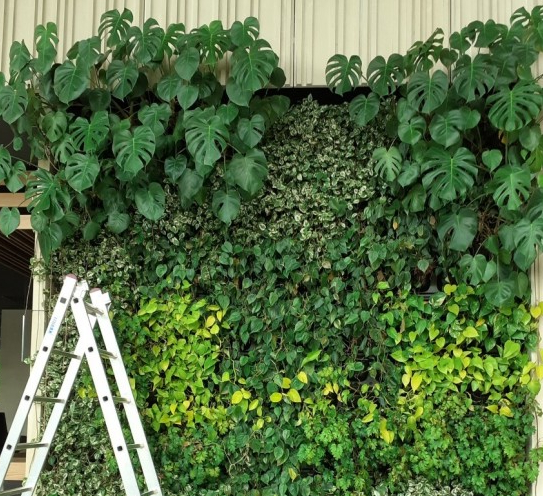 Green Wall & Vertical Garden - Green Souq